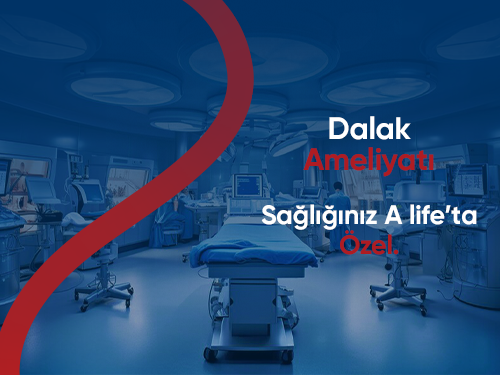 Dalak Ameliyatı (Splenektomi) | A Life Sağlık Grubu